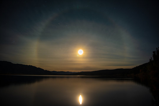 "Moon Dog" Images – Browse 173 Stock Photos, Vectors, and Video | Adobe ...