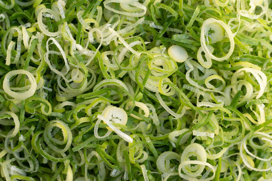 「Negi」の画像 - 324 件の Stock 写真、ベクターおよびビデオ | Adobe Stock