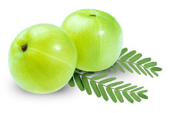 「Emblica」の画像 - 3,822 件の Stock 写真、ベクターおよびビデオ | Adobe Stock