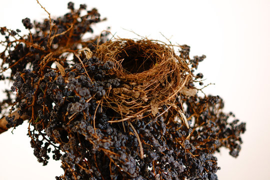 รูปภาพTabacchi – เลือกดูภาพถ่ายสต็อก เวกเตอร์ และวิดีโอ531 | Adobe Stock