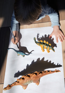 "Dinosaur Shadow" Imagens – Procure 48 fotos, vetores e vídeos | Adobe ...