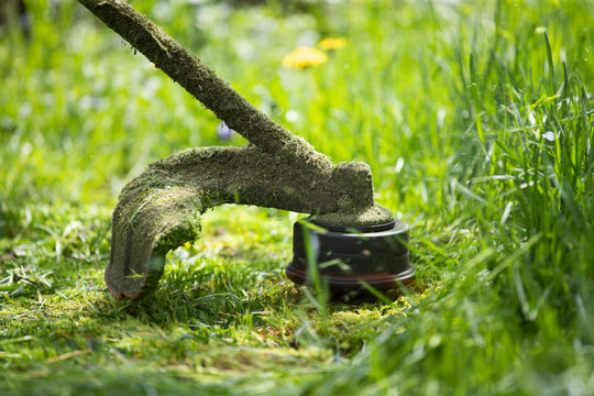 Grasscutter Images – Browse 448 Stock Photos, Vectors, and Video ...