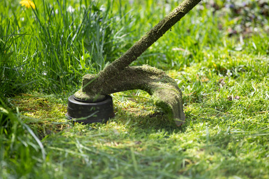 Grasscutter Images – Browse 448 Stock Photos, Vectors, and Video ...