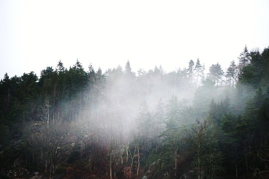 LAS 96,904 MEJORES IMÁGENES, FOTOS DE ARCHIVO Y VECTORES DE Brumoso ...