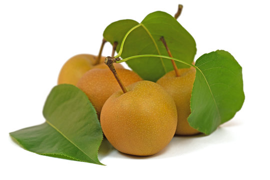 Bapfel Bilder – Durchsuchen 25 Archivfotos, Vektorgrafiken und Videos ...