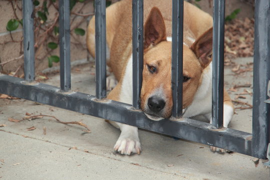 「Forlorn」の画像 - 5,471 件の Stock 写真、ベクターおよびビデオ | Adobe Stock