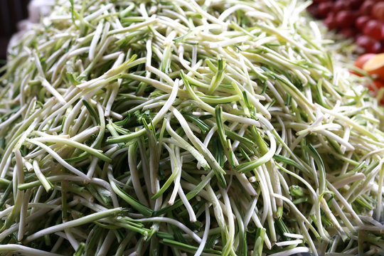 Kurrat bilder – Bläddra bland 2,816 stockfoton, vektorer och videor ...