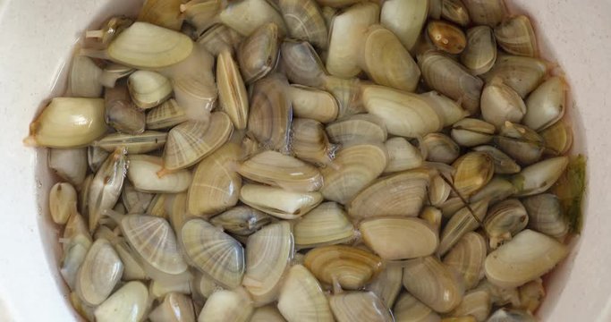 Depuration Images – Browse 216 Stock Photos, Vectors, and Video | Adobe ...