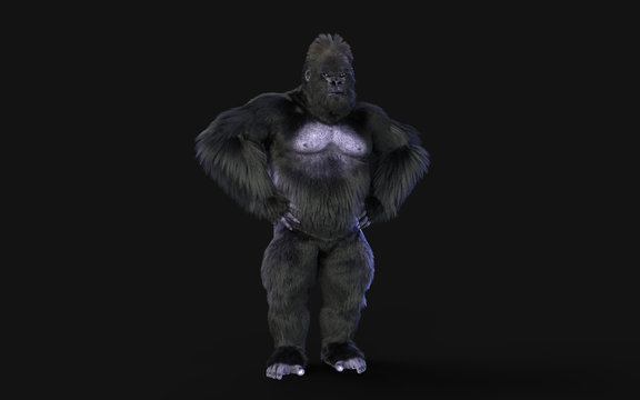 "Silverback Gorilla" Images – Browse 1,358 Stock Photos, Vectors, and ...