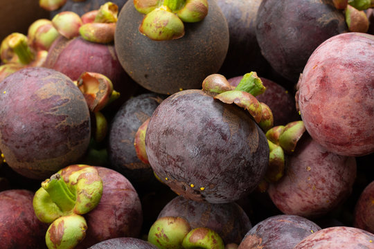 Mangostane Bilder – Durchsuchen 32,163 Archivfotos, Vektorgrafiken und ...