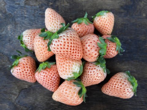 รูปภาพCatamite – เลือกดูภาพถ่ายสต็อก เวกเตอร์ และวิดีโอ1,098 | Adobe Stock