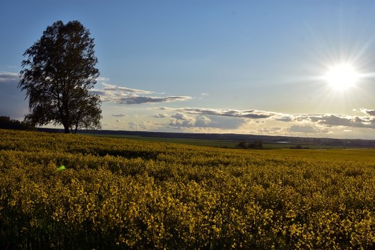 Samotna Bilder – Durchsuchen 768 Archivfotos, Vektorgrafiken und Videos ...