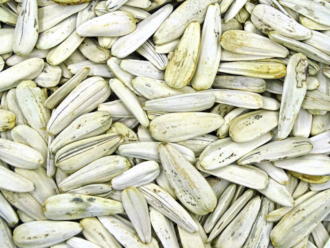 57 BEST Semki IMAGES, STOCK PHOTOS & VECTORS | Adobe Stock