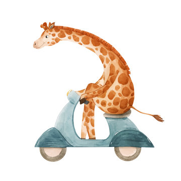 Giraffe Bike Images – Browse 39 Stock Photos, Vectors, and Video ...