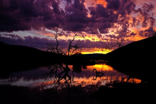 Bushveld Sunset Bilder – Durchsuchen 1,671 Archivfotos, Vektorgrafiken ...