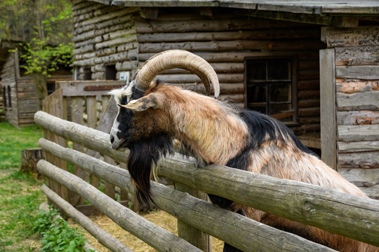 「Rammen」の画像 - 2,060 件の Stock 写真、ベクターおよびビデオ | Adobe Stock
