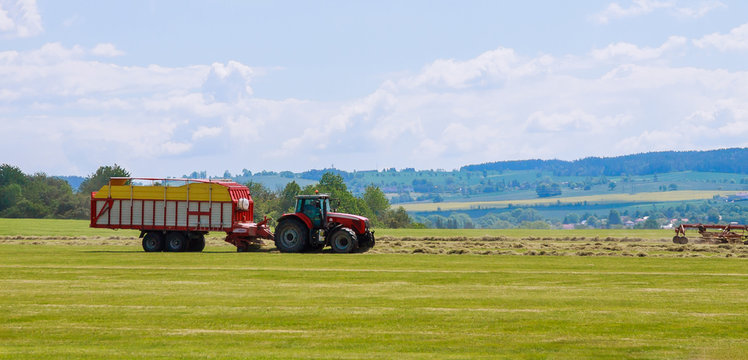 Afbeeldingen over "Drying Hay" – Blader in stockfoto's, vectoren en ...