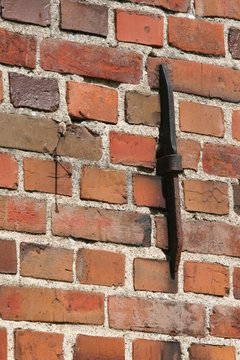 Maueranker Billeder – Gennemse 148 stockfotos, vektorer og videoer ...