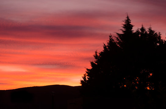 รูปภาพRojizo – เลือกดูภาพถ่ายสต็อก เวกเตอร์ และวิดีโอ2,046 | Adobe Stock