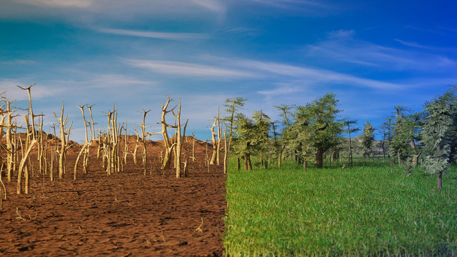 Meagerness Bilder – Durchsuchen 273 Archivfotos, Vektorgrafiken und ...