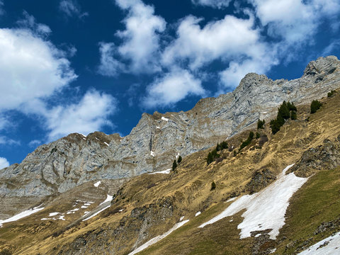 Selun Bilder – Durchsuchen 212 Archivfotos, Vektorgrafiken und Videos ...