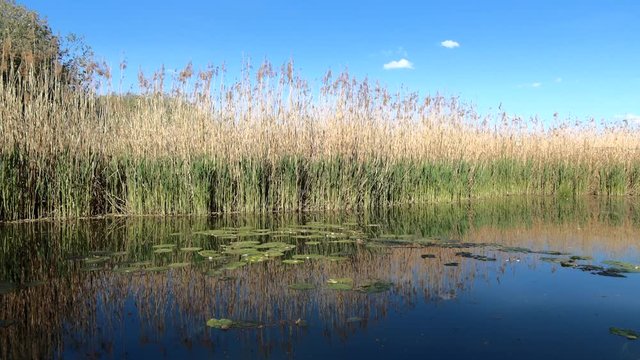 Neerach Images – Browse 77 Stock Photos, Vectors, and Video | Adobe Stock