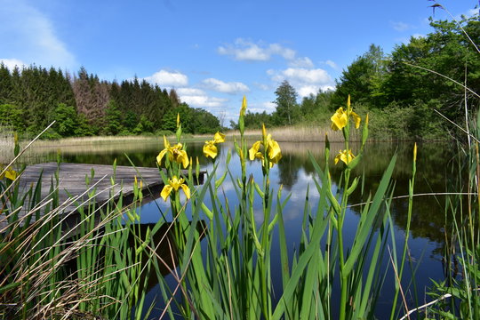 Zenitude Images – Parcourir 635 le catalogue de photos, vecteurs et ...