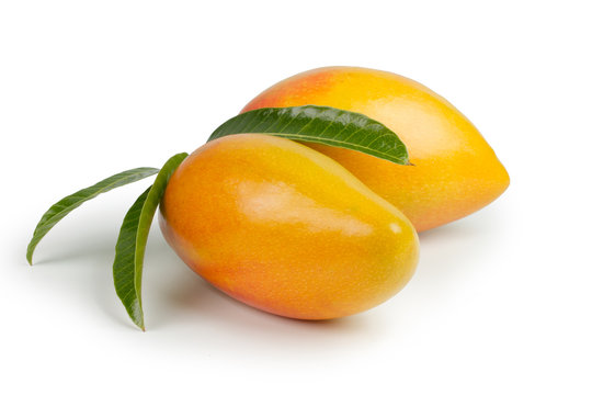Alphonso Mango Wallpaper