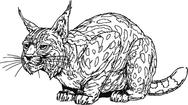 Ssit Bilder – Durchsuchen 131 Archivfotos, Vektorgrafiken und Videos ...