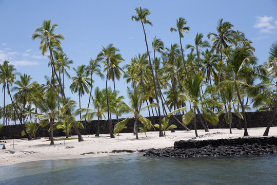 Polynesier Images – Browse 41 Stock Photos, Vectors, and Video | Adobe ...