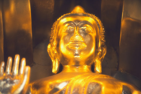 Dodi Images – Browse 52 Stock Photos, Vectors, and Video | Adobe Stock