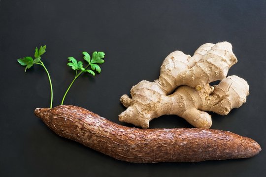 Guagui photos, images, assets | Adobe Stock