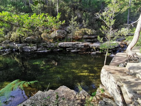 Gumpe Bilder – Durchsuchen 308 Archivfotos, Vektorgrafiken und Videos ...