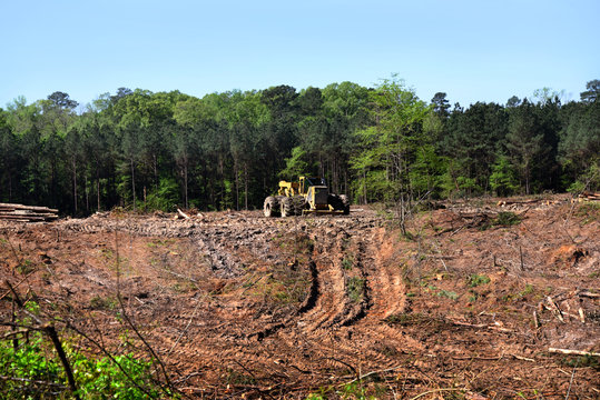 Clearfelling bilder – Bläddra bland 5,530 stockfoton, vektorer och ...