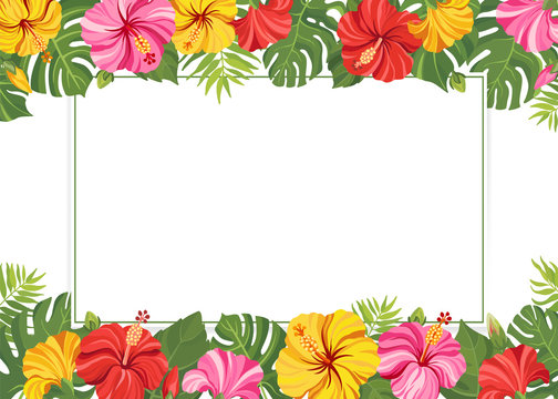 Hawaiian Flower Border