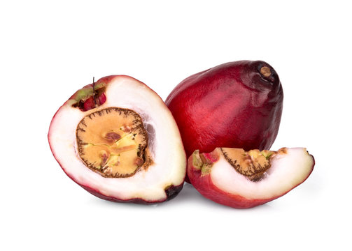 รูปภาพPomerac – เลือกดูภาพถ่ายสต็อก เวกเตอร์ และวิดีโอ164 | Adobe Stock