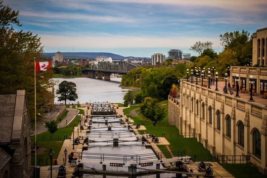 Alexandra Images – Browse 2,137 Stock Photos, Vectors, and Video ...