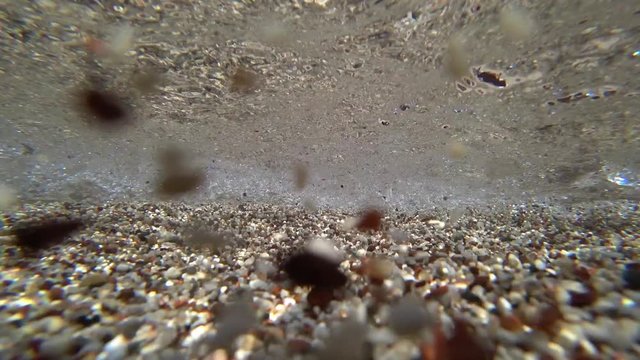 "Sand Underwater" bilder – Bläddra bland 126 stockfoton, vektorer och ...