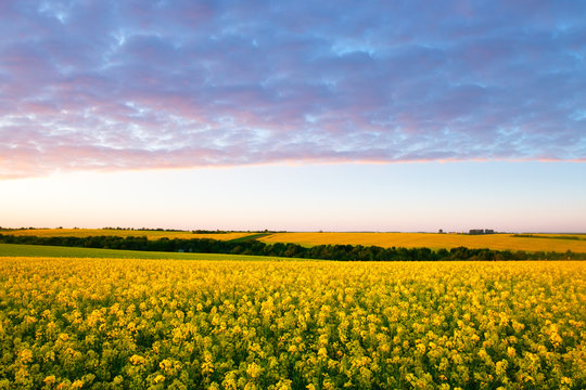 รูปภาพSundawn – เลือกดูภาพถ่ายสต็อก เวกเตอร์ และวิดีโอ998 | Adobe Stock