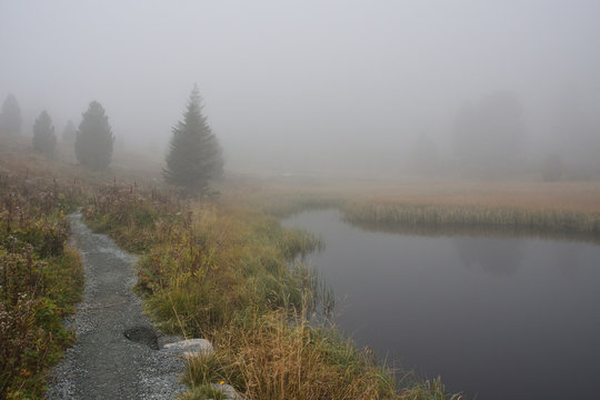 รูปภาพGurk – เลือกดูภาพถ่ายสต็อก เวกเตอร์ และวิดีโอ203 | Adobe Stock