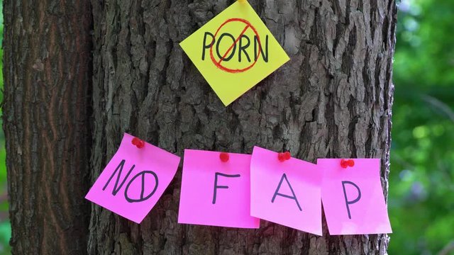 รูปภาพNofap – เลือกดูภาพถ่ายสต็อก เวกเตอร์ และวิดีโอ24 | Adobe Stock