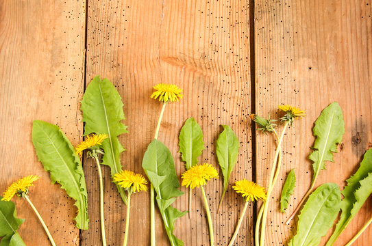 Löwenzahntee Bilder – Durchsuchen 303 Archivfotos, Vektorgrafiken und ...