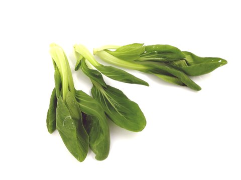 Potherb Bilder – Durchsuchen 157,340 Archivfotos, Vektorgrafiken und ...