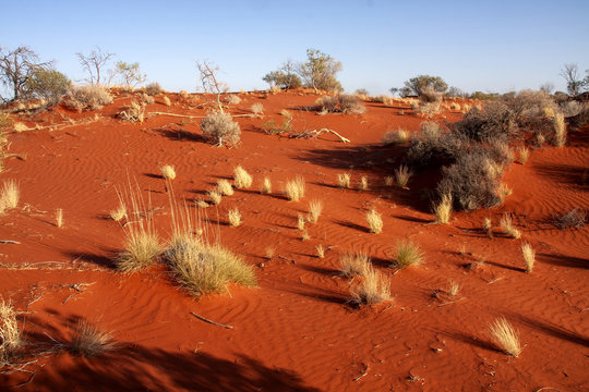 Australian Landscape Desert