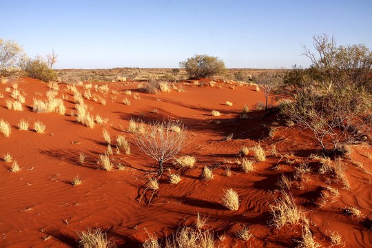 Australian Landscape Desert