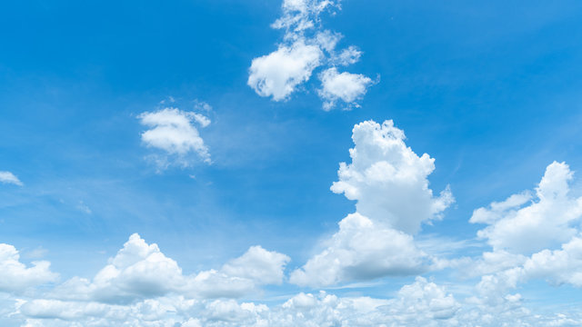 Free Free Images – Browse 8,509 Free Stock Photos, Vectors, and Video ...