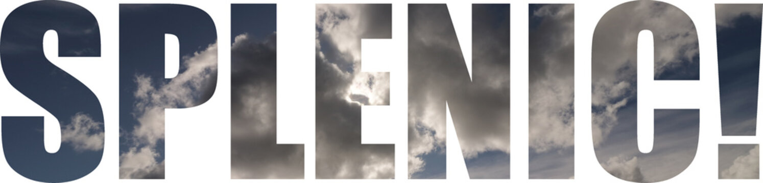 Splenic Imagens – Procure 575 fotos, vetores e vídeos | Adobe Stock