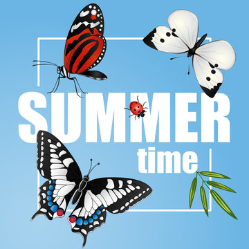 Butterflies Images – Browse 1,326,459 Stock Photos, Vectors, and Video ...