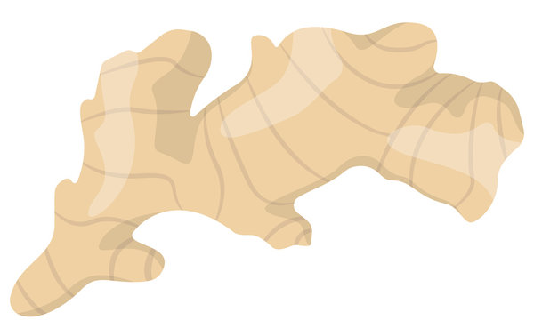 Ginger Root Cartoon Images – Browse 33,473 Stock Photos, Vectors, and ...