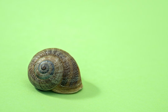 PeWi photos, images, assets | Adobe Stock